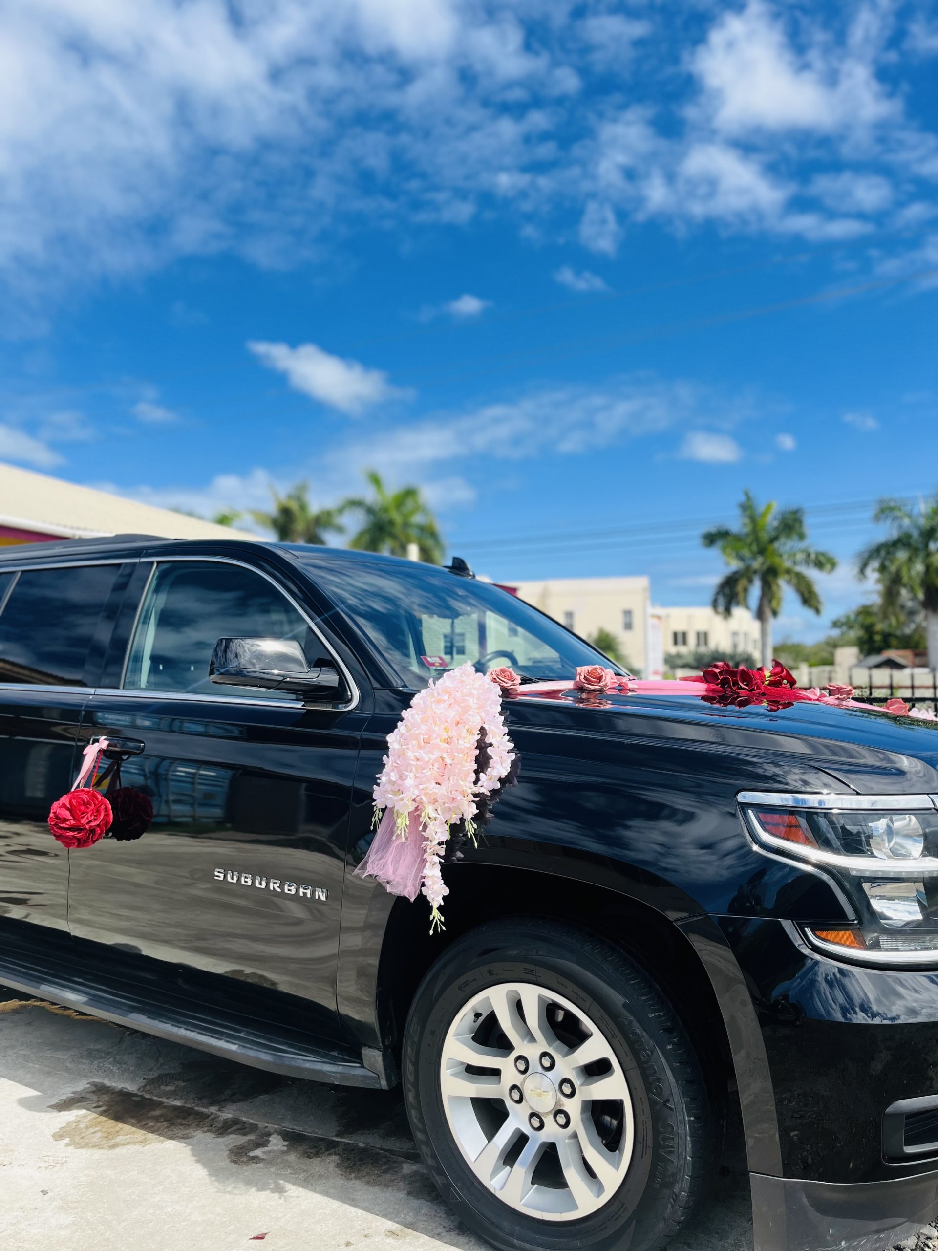 Gallery: Explore Antigua in Style – Dominion Management and Services ...